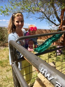 A Carnival Corral Birthday Party – ARTY MOMMY