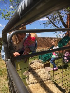 A Carnival Corral Birthday Party – ARTY MOMMY