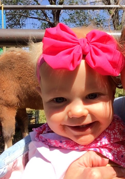 A Carnival Corral Birthday Party – ARTY MOMMY