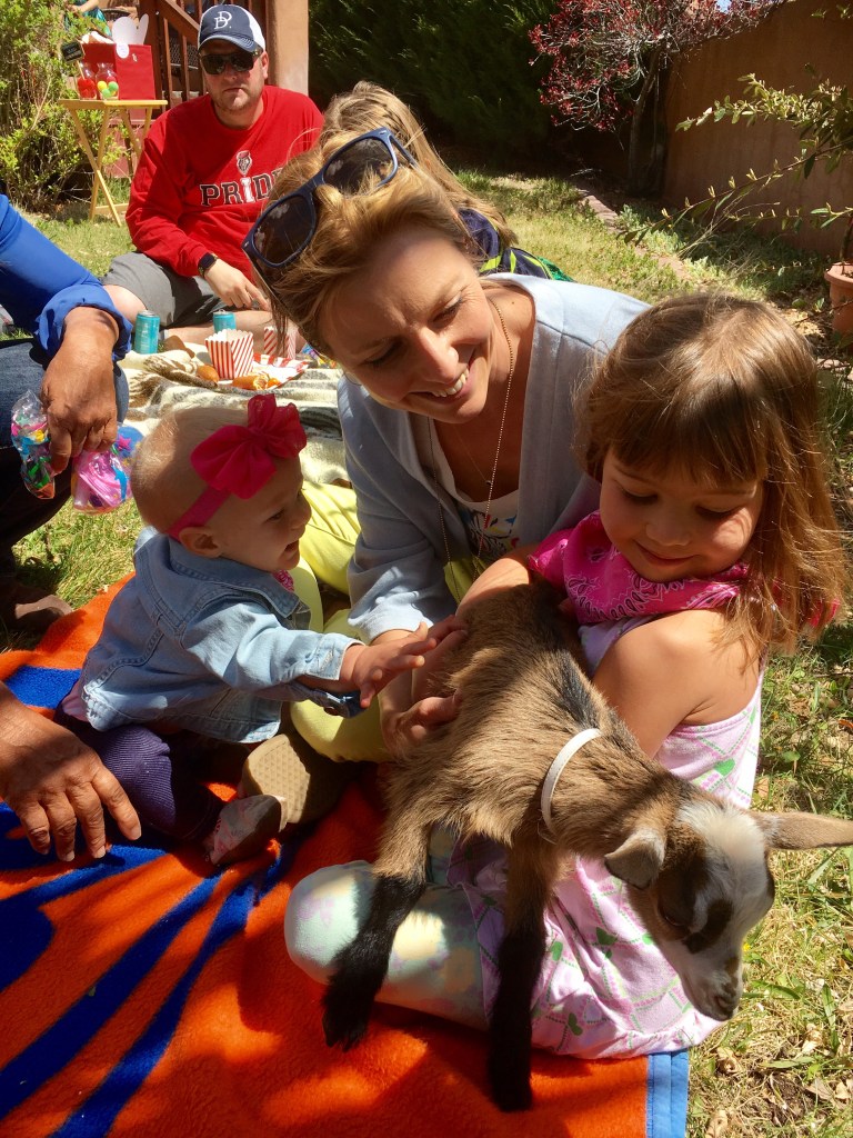 A Carnival Corral Birthday Party – ARTY MOMMY